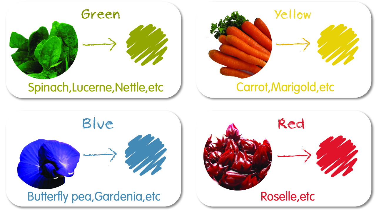 Color from Nature Series